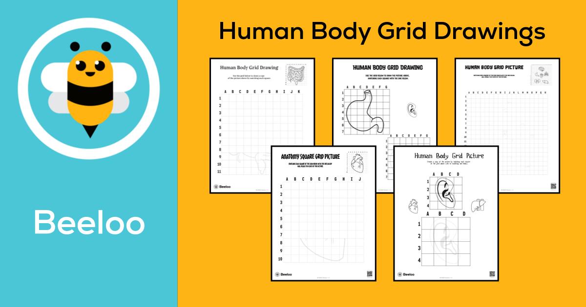 Human Body-themed Grid Drawings • Beeloo Printable Crafts and ...